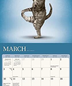 Yoga Kittens OFFICIAL | 2024 7 x 14 Inch Monthly Mini Wall Calendar | BrownTrout | Animals Humor Cats Feline