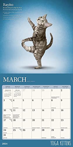 Yoga Kittens OFFICIAL | 2024 7 x 14 Inch Monthly Mini Wall Calendar | BrownTrout | Animals Humor Cats Feline