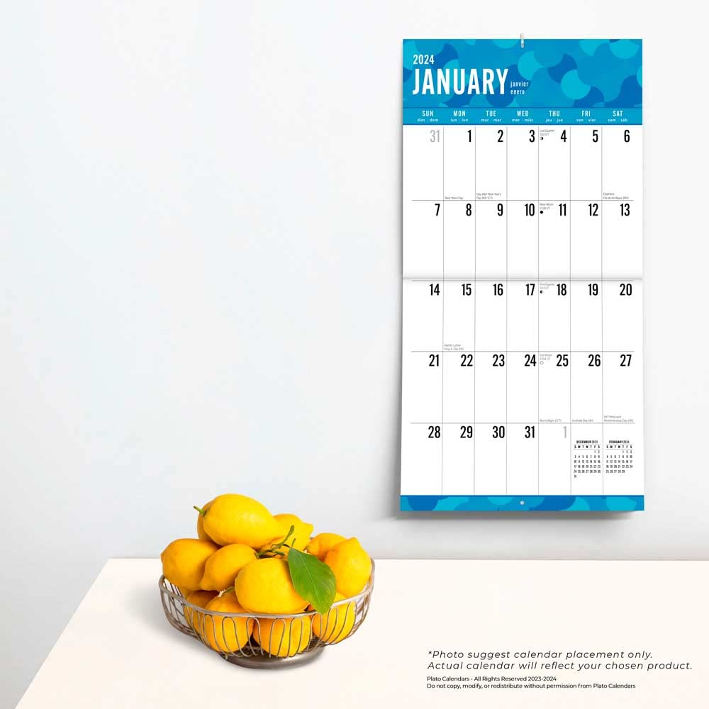 Large Print | 2024 12 x 24 Inch 18 Months Monthly Square Wall Calendar | July 2023 - December 2024 | Matte Paper | Plato | Easy to See Large Font