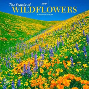 the beauty of wildflowers | 2024 12 x 24 inch monthly square wall calendar | sticker sheet | stargifts | outdoor plant floral