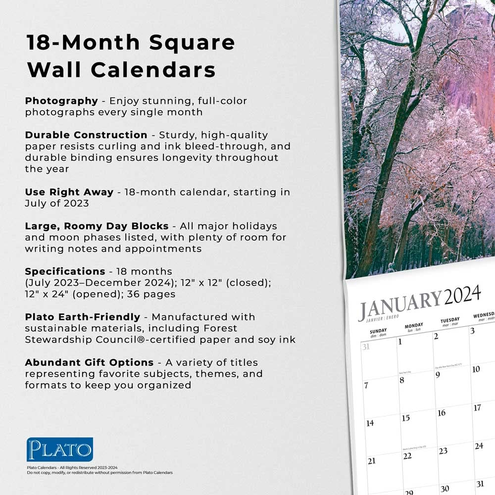 America's National Parks | 2024 12 x 24 Inch 18 Months Monthly Square Wall Calendar | Foil Stamped Cover | July 2023 - December 2024 | Plato | Yosemite Yellowstone