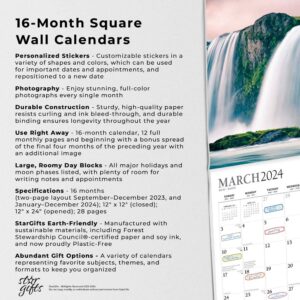 The Beauty of Waterfalls | 2024 12 x 24 Inch Monthly Square Wall Calendar | Sticker Sheet | StarGifts | Nature River Lake