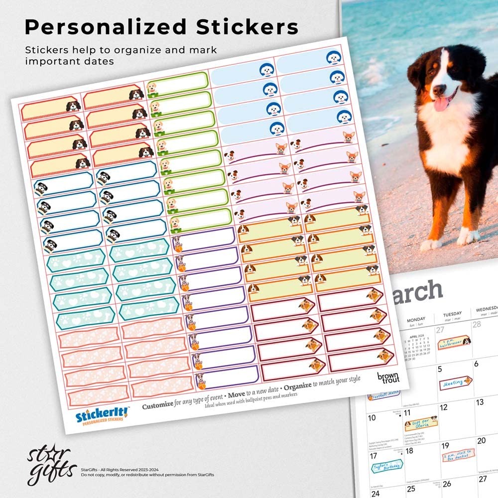 The Beauty of Bernese Mountain Dogs | 2024 12 x 24 Inch Monthly Square Wall Calendar | Sticker Sheet | StarGifts | Animals Breeds