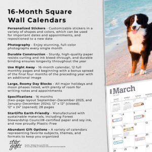 The Beauty of Bernese Mountain Dogs | 2024 12 x 24 Inch Monthly Square Wall Calendar | Sticker Sheet | StarGifts | Animals Breeds