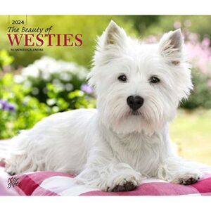 the beauty of west highland white terriers | 2024 14 x 24 inch monthly deluxe wall calendar | sticker sheet | stargifts | animal dog breeds