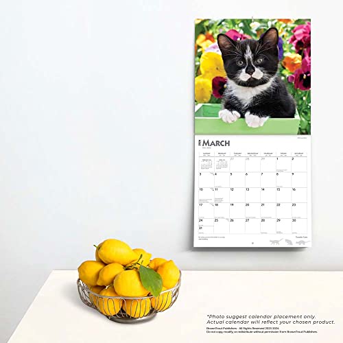 Tuxedo Cats | 2024 12 x 24 Inch Monthly Square Wall Calendar | BrownTrout | Animals Kittens Feline