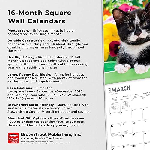 Tuxedo Cats | 2024 12 x 24 Inch Monthly Square Wall Calendar | BrownTrout | Animals Kittens Feline