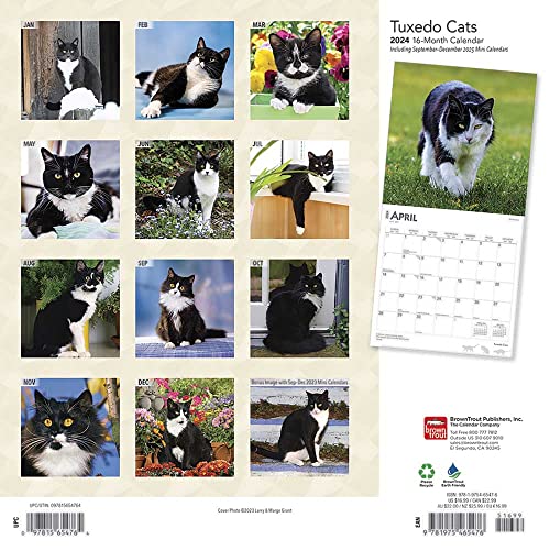 Tuxedo Cats | 2024 12 x 24 Inch Monthly Square Wall Calendar | BrownTrout | Animals Kittens Feline