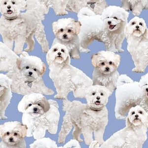 maltipoo design printed on 100% cotton quilting fabric by the yard (blue, white, black)