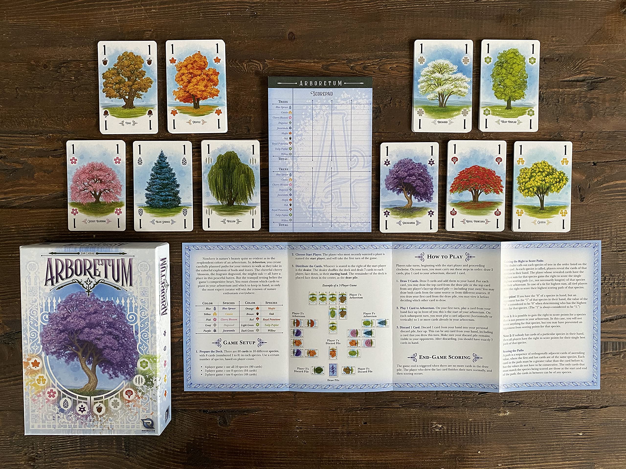 Renegade Game Studios Arboretum Strategy Card Game That Challenges 2-4 Players Aged 8 & Up to Create The Most Beautiful Garden (Packaging May Vary)