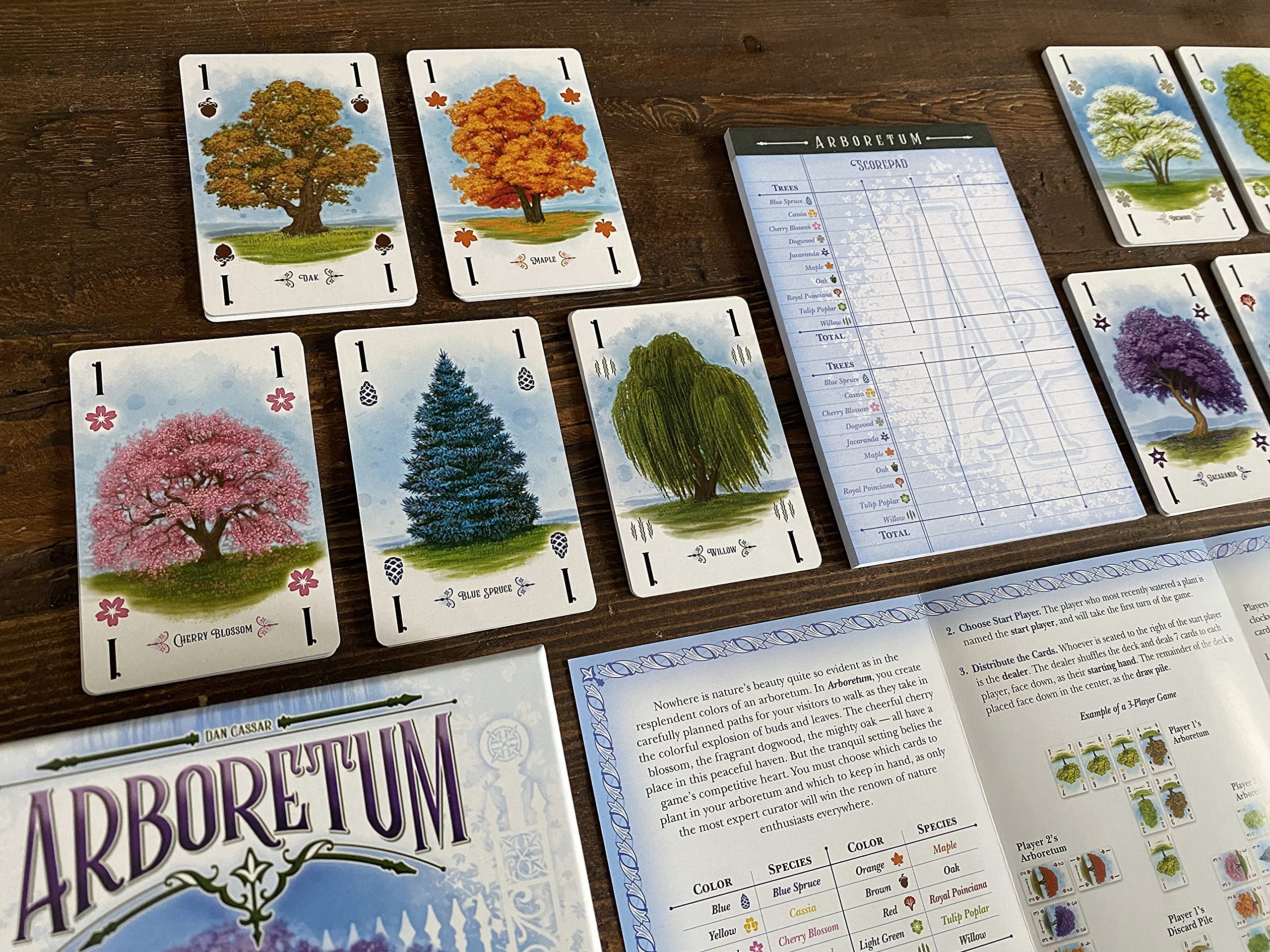 Renegade Game Studios Arboretum Strategy Card Game That Challenges 2-4 Players Aged 8 & Up to Create The Most Beautiful Garden (Packaging May Vary)