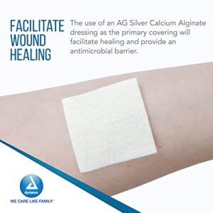 Dynarex DynaGinate AG Silver Calcium Alginate Rope Dressings - ¾"x12", Calcium Alginate Wound Dressing with Silver Ions, 1 Box of 5 DynaGinate AG Silver Calcium Alginate Rope Dressings - ¾"x12".