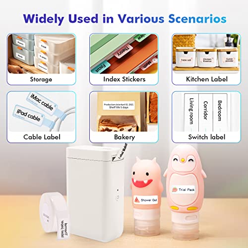 Binardat 1 Inch Label Maker Machine with Tape,15-25MM Portable Thermal Bluetooth D101 Printer for IOS/Android APP, with Multiple Fonts, Emojis, Symbols, Easy to Print Name, Address, Barcode Labels