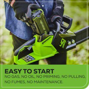 Greenworks 40V 16" Brushless Cordless Chainsaw (Gen 2) (Great For Tree Felling, Limbing, Pruning, and Firewood / 75+ Compatible Tools), 4.0Ah Battery and Charger Included