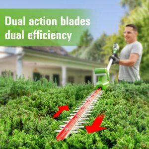 Greenworks 24V 8" Cordless Polesaw + 20" Pole Hedge Trimmer Combo (Great For Pruning and Trimming Branches / Shrubs), 2.0Ah Battery and Charger Included