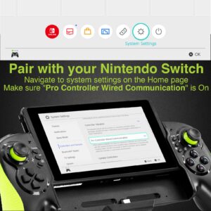 Hawksbill Nintendo Switch Compatible Handheld Controller, Plug and Play, Charging, Turbo and Auto Function