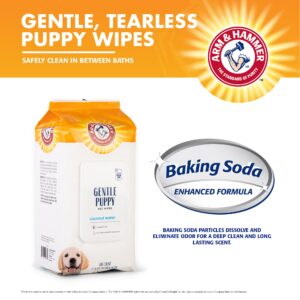 Arm & Hammer for Pets Gentle Puppy Bath Wipes, Coconut Water | All Purpose Puppy Cleaning Wipes Remove Odor & Refresh Skin for Pets | Gentle Tearless, 100 Count Pack of Pet Wipes