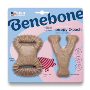 benebone puppy 2-pack dental chew/wishbone dog chew toys, made in usa, real bacon flavor