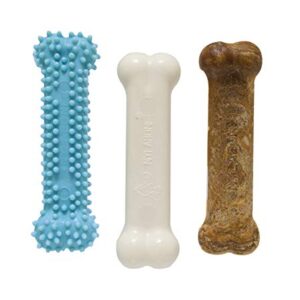 Nylabone Puppy Triple Pack - Blue Puppy Teething Toy, Nylon Dog Toy, & Chew Treat Variety Pack - Puppy Supplies - Chicken and Bacon Flavors, Small/Regular (3 Count)