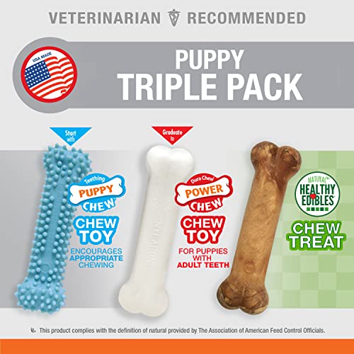 Nylabone Puppy Triple Pack - Blue Puppy Teething Toy, Nylon Dog Toy, & Chew Treat Variety Pack - Puppy Supplies - Chicken and Bacon Flavors, Small/Regular (3 Count)