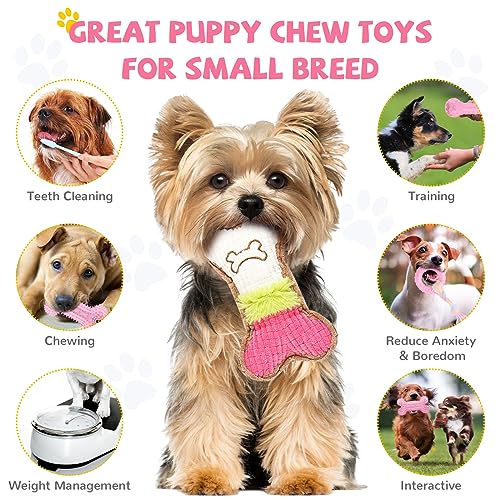 BAEJMJK 6 Pack Puppy Teething Toys Pink Small Breed Dog Chew Toys with Rope Cute Soft Rubber Puppy Toys Set for Cleaning Teeth Interactive Pet Doggy Bone Toys