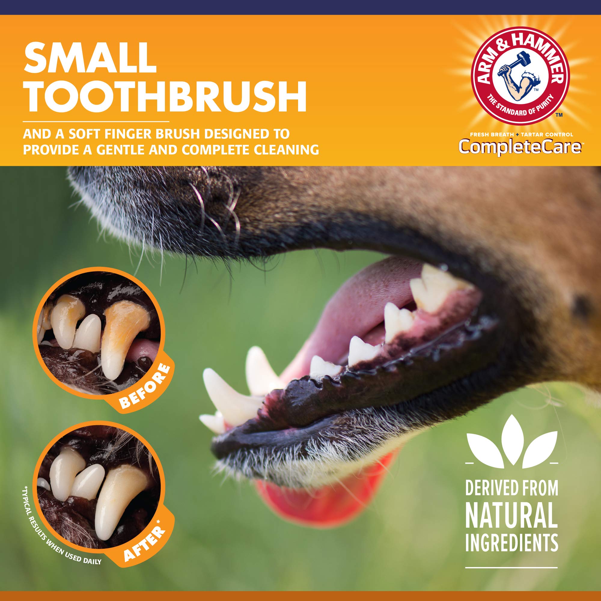 Arm & Hammer for Pets Complete Care Puppy Dental Kit | Includes 2.5 oz Dog Toothpaste in Peanut Butter Flavor, Small Dog Toothbrush for Small Dogs and Puppies, and Microfiber Finger Brush