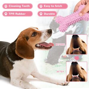 XGDMEIL 6 Pack Puppy Toys for Teething Small Dogs, Cute Pink Dog Chew Toys for Puppies, Soft Squeaky Dog Toys for Small Breed Cleaning Doggy Teeth, Outdoor Interactive Small Dog Chew Toys Set