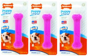 nylabone (3 pack) just for puppies petite pink dental bone chew toy