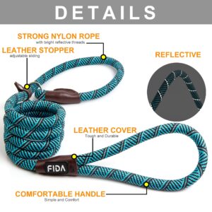 Fida Durable Slip Lead Dog Leash, 6 FT x 3/8" Heavy Duty Dog Loop Leash, Comfortable Strong Rope Slip Leash for Small Dogs and Puppies, No Pull Pet Training Leash with Highly Reflective(3/8", Blue)