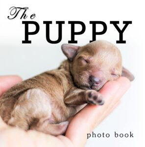 the puppy: picture book of puppies | puppy photo book | cute & adorable baby dogs collection