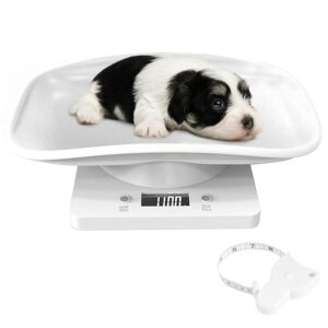 ytcykj digital pet scale, multi-function lcd scale digital weight with height tray measure accurately, perfect for puppy/kitty/hamster/hedgehog/food, capacity up to 22 lb, length 11inch