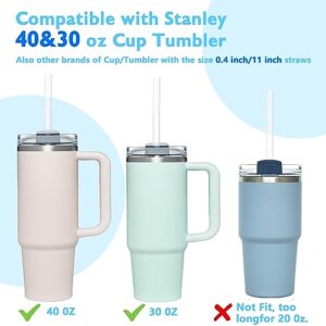 Replacement Straw Compatible with Stanley Quencher H2.0 40&30 oz Cup Tumbler with Handle, 6 Pack Reusable Straws for Stanley Quencher Tumbler,Plastic Straw with cleanning brush for Stanley Accessories