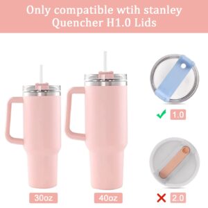 Dasgude Silicone Spill Proof Stopper, 2 Sets Straw Cover Compatible with Stanley Cup 1.0 40oz/30oz, Stanley Cup Accessories with 2 Straw Cover Cap, 2 Square and 2 Round Lid Spill Stopper Plug, 6PCS