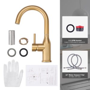 WOWOW Brushed Gold Bar Sink Faucet Single Hole Bar Faucet 1 Handle Small Kithcen Faucet for Wet Bar and RV Sink