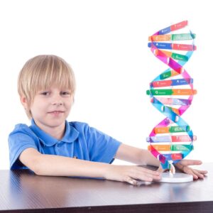 HMANE DNA Models Double Helix Model Components Science Educational Teaching Instrument Toy