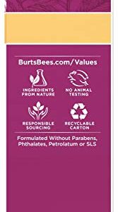 Burt's Bees Sunscreen Moisturizer for Face, SPF 30 Retinol Alternative Facial Lotion for Anti-Aging Skincare & Daytime Protection,1.8 Ounce (Packaging May Vary)