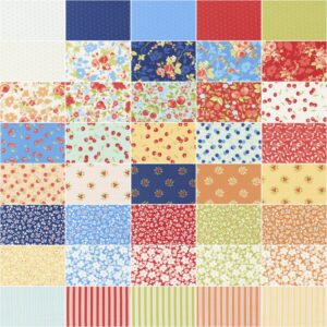 Fruit Cocktail Charm Pack by Joanna Figueroa; 42-5" Precut Fabric Quilt Squares