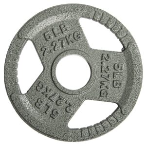 signature fitness cast iron plate weight plate for strength training and weightlifting, 2-inch center, 5lb (single)