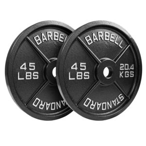 steel olympic plates 45lb pair - olympic standard premium coated 2x 45 pound weights