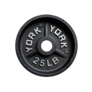 deep dish olympic weight plate