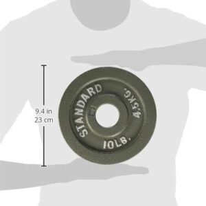 CAP Barbell Olympic 2-Inch Weight Plate, GRAY 10 LBS