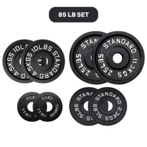 HAJEX Cast Iron Olympic Weight Plates Set 2 inch - Pairs of 2.5 LB, 5 LB, 10 LB - Weights Set 35 LB