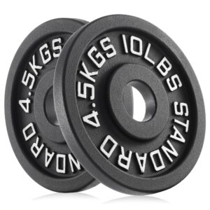 philosophy gym set of 2 standard cast iron olympic 2-inch weight plates (10 lb each)