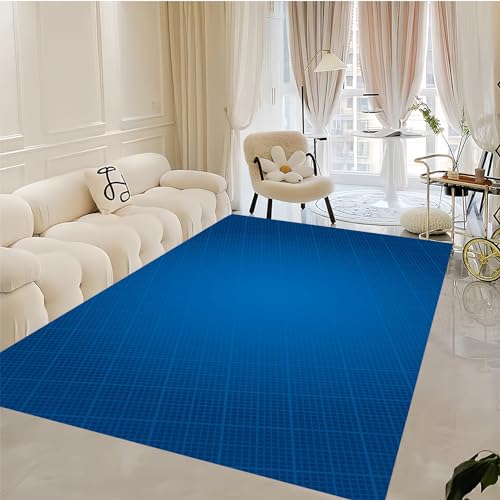 Blue Cool Checkered Area Rugs for Kitchen 3x4ft/36x48in/90x120cm, Living Room Bedroom Area Rug Fluffy Plush High Pile Carpet