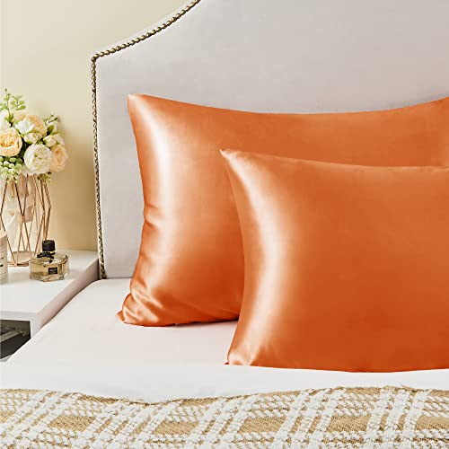 BEDELITE Satin Pillowcase for Hair and Skin, Super Soft and Cooling Similar to Silk Pillow Cases 2 Pack with Envelope Closure, Gift for Women Men(20"x26" Standard Size, Burnt Orange)