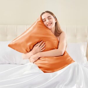 BEDELITE Satin Pillowcase for Hair and Skin, Super Soft and Cooling Similar to Silk Pillow Cases 2 Pack with Envelope Closure, Gift for Women Men(20"x26" Standard Size, Burnt Orange)