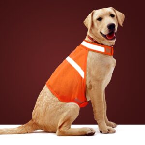 dog jacket high visibility safety reflective dog vest for small medium large dogs (large, orange)