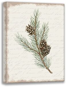 artdirect pine cone botanical ii 15x18 gallery wrapped canvas museum art by jacobs, cindy