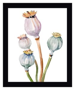 watercolor poppy pods ii by jennifer paxton parker - 30" x 36" framed canvas art print - black frame - ready to hang