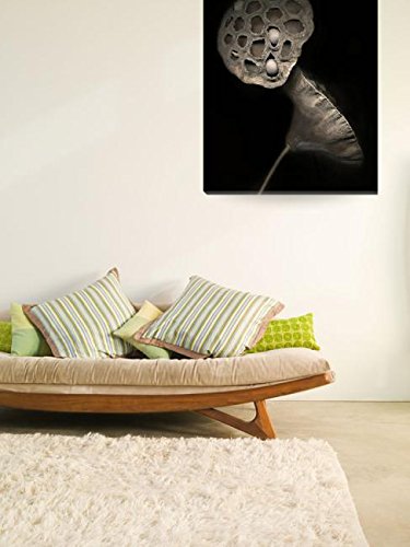 Imagekind Wall Art Print Entitled Lotus Pods II by Dawn Leblanc | 16 x 21